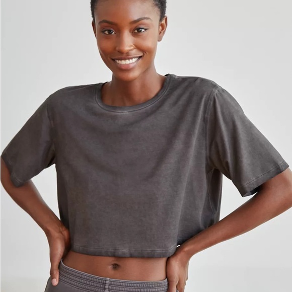 Babaton | Tops | The Group By Babaton Foundation Cropped Crew Tshirt Mineral Grey | Poshmark